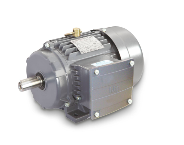 LHP TM63 55 IE2 Standard Motor | Mechtrace - Technician on the way